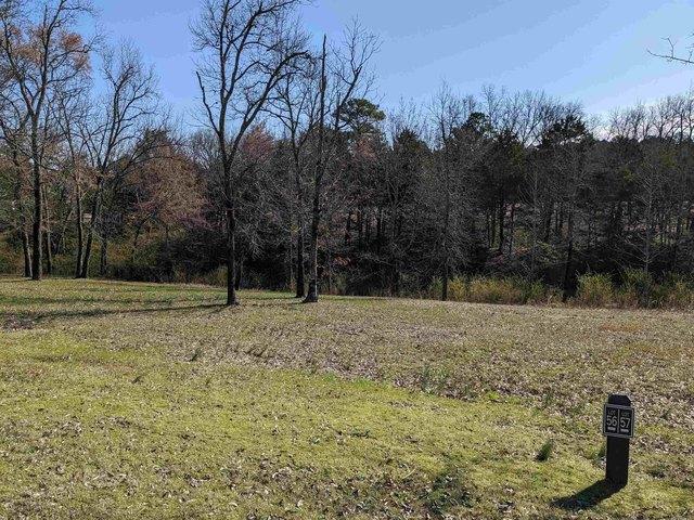 Brighton Pointe Lot 56, Heber Springs, AR 72543