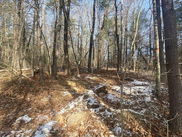 Brimfield MA 01010 102157981