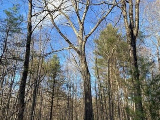 Brimfield Rd Lot B, Monson, Plot For Sale