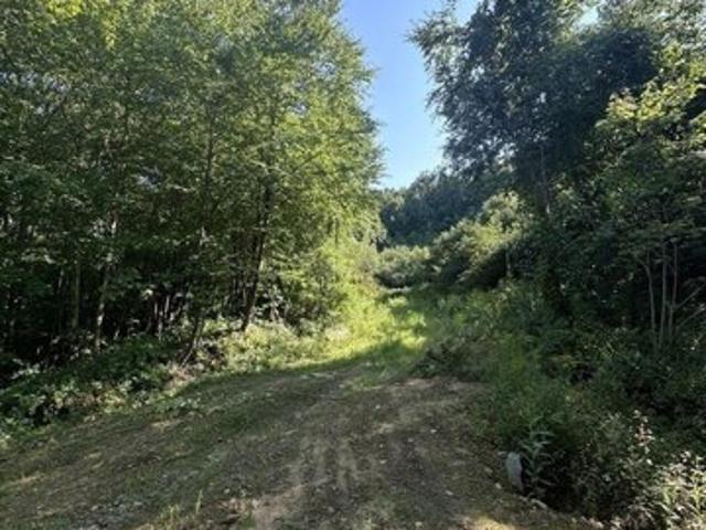 Brimfield Rd Lot,warren, Plot For Sale