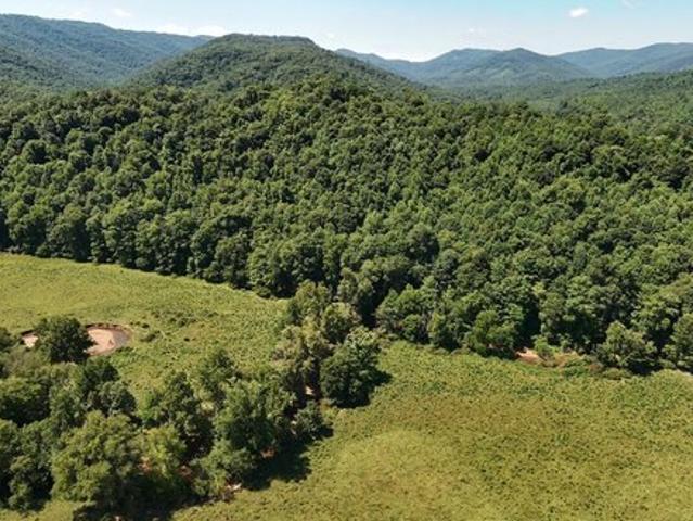 Brimstone Rd, Robbins, TN 37852