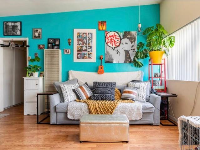 Bring your good vibes, dog and music lover wanted