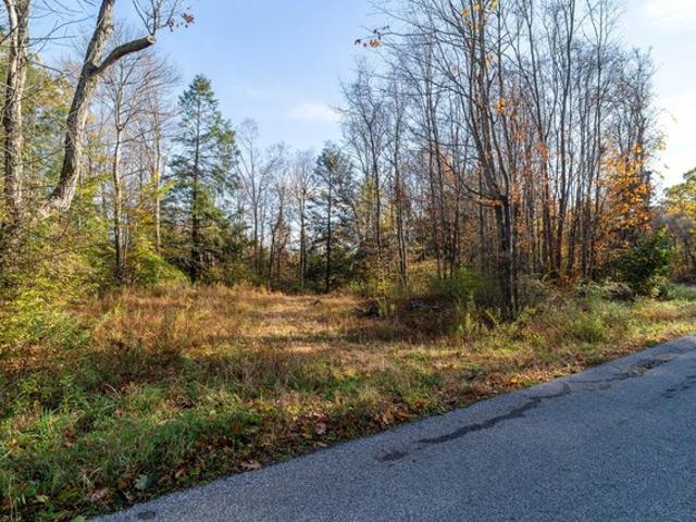 Brink Rd, Irvona, PA 16656