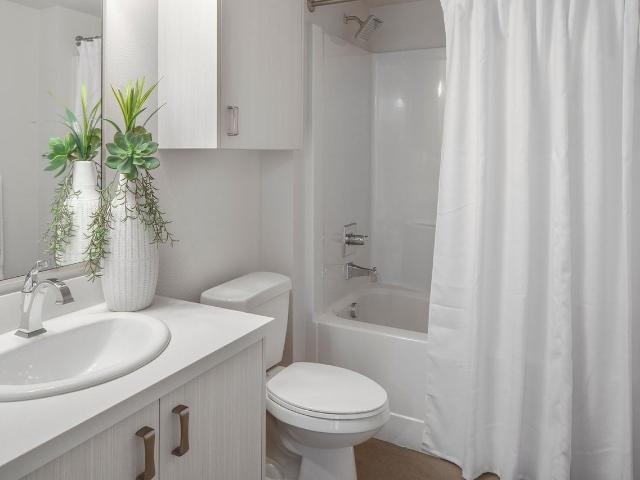 Brio Flats Studio Apartment for Rent at 2405 N Vancouver Ave, Portland, OR 97227 Eliot
