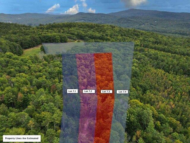 Bristol NH 03222 101932954