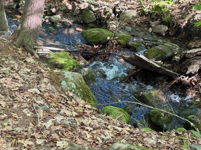 Bristol NH 03222 103128601