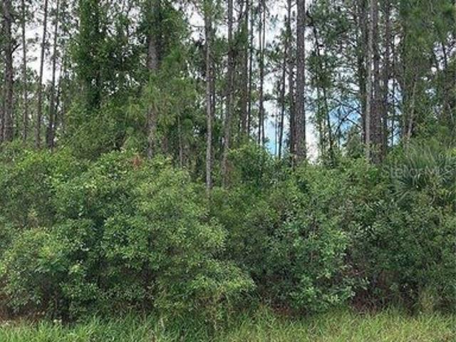 Bristol Ave Lot 21, North Port, FL 34291