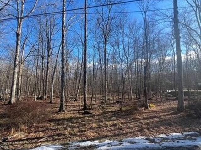 Bristol Cir E # 231, East Stroudsburg, PA 18302