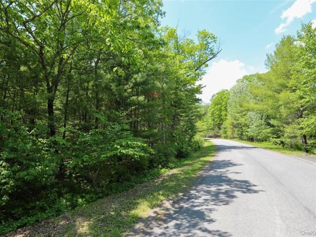 Bristol Hill Rd, Hurley, NY 12443