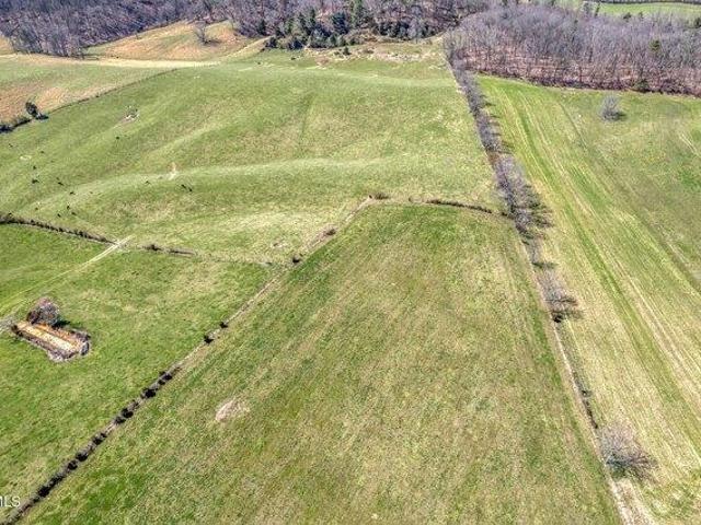 Bristol TN 37620 LS92724194