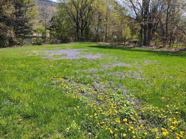 Bristol VT 05443 105144068