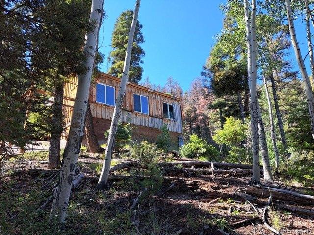 Bruce Rd Lot 6026, San Luis, CO 81152