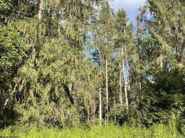Bruceton Mills, Preston County, WV Undeveloped Land for sale P.