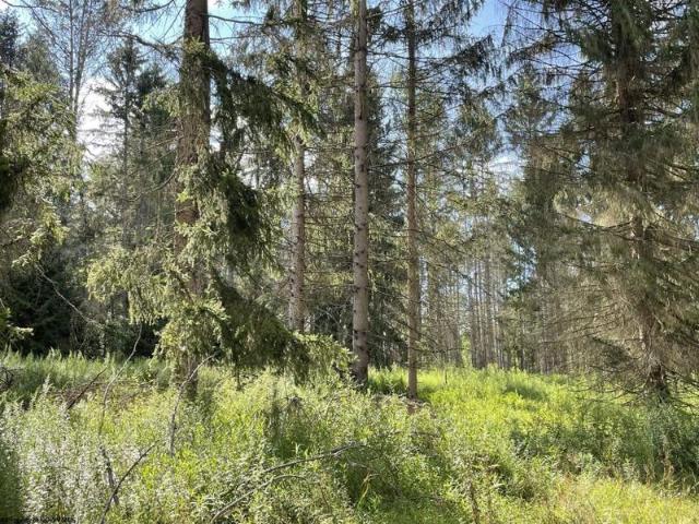 Bruceton Mills, Preston County, WV Undeveloped Land for sale P.
