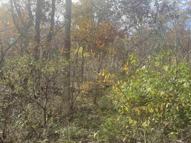 Bruceton Mills, Preston County, WV Undeveloped Land for sale P.