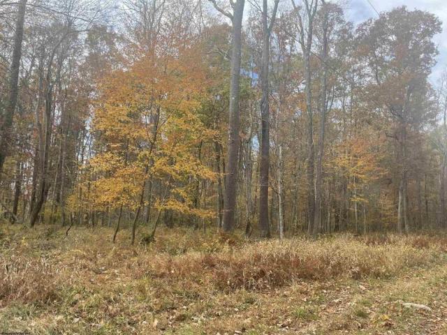 Bruceton Mills, Preston County, WV Undeveloped Land for sale P.