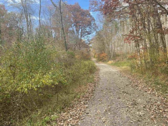 Bruceton Mills, Preston County, WV Undeveloped Land for sale P.