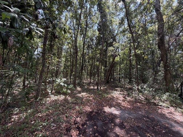 Brumbaugh Rd, Ocean Springs, MS 39564