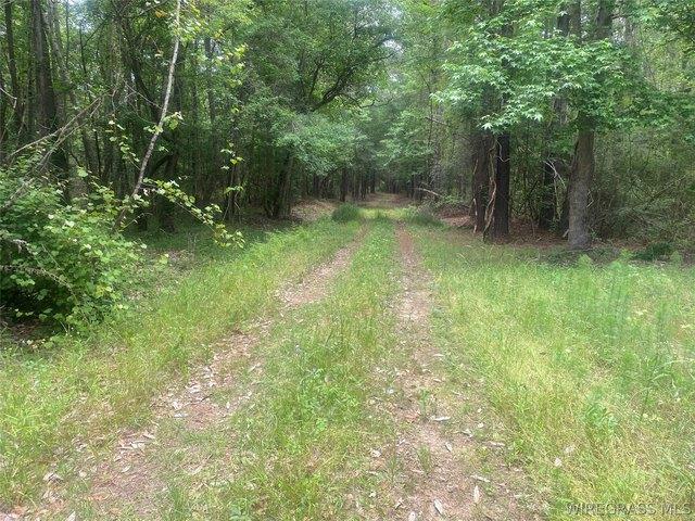 Bruno Rd, Dozier, AL 36028