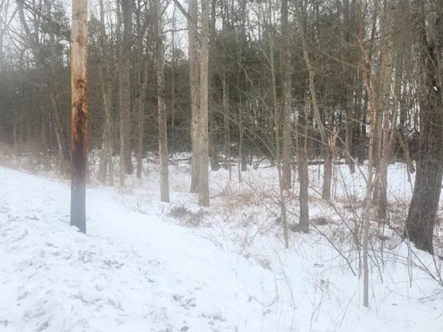 Brush Creek Road