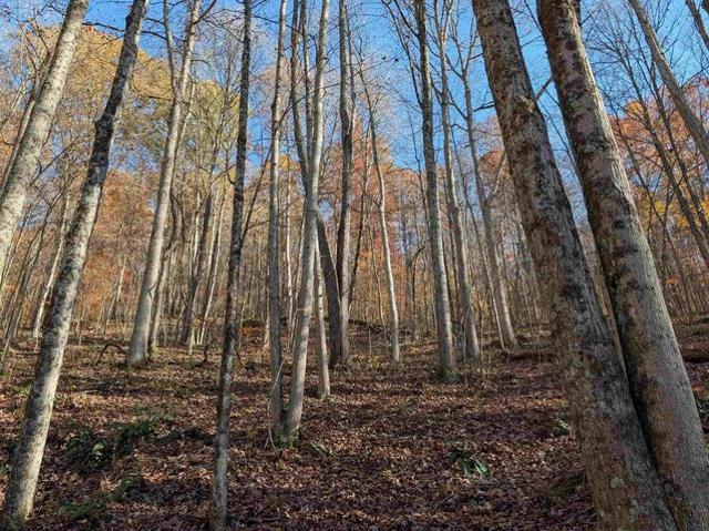 Brush Run, Mannington, WV 26582