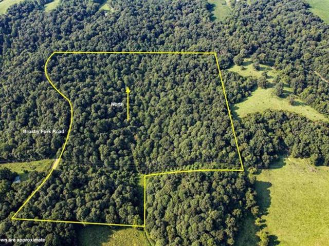 Brushy Fork Rd, Tell City, IN 47586