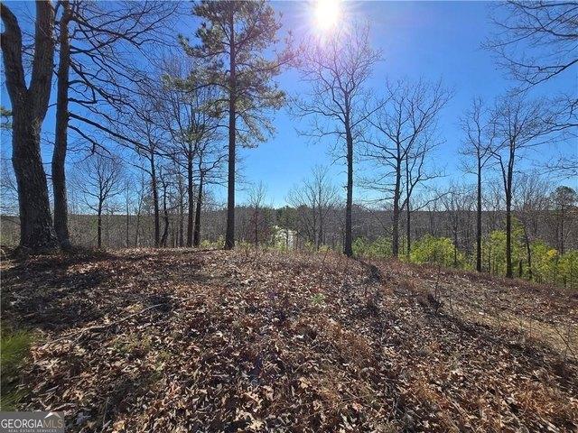 Brushy Mountain Rd, Rockmart, GA 30153