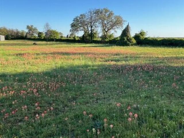 Brushy Rd, Granbury, Plot For Sale
