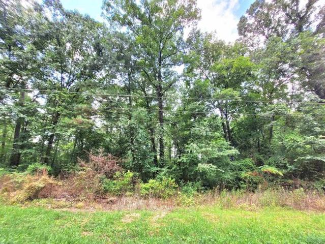 Bryan St Lot 12 13, Talladega, AL 35160