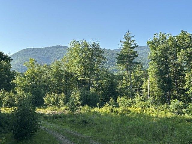 Bryant Heights Rd, Tamworth, NH 03886