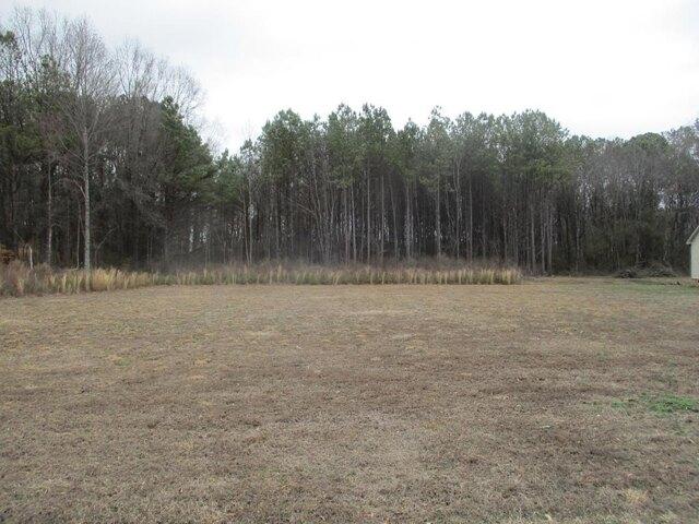 Brylow Dr Lot,dalton, Plot For Sale