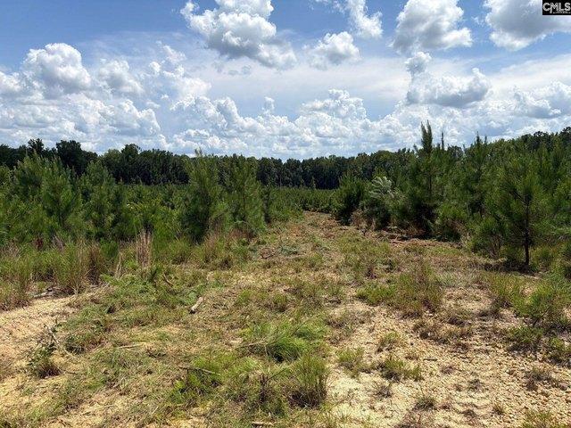 Btf 4 Bradley Trl, Jefferson, SC 29067