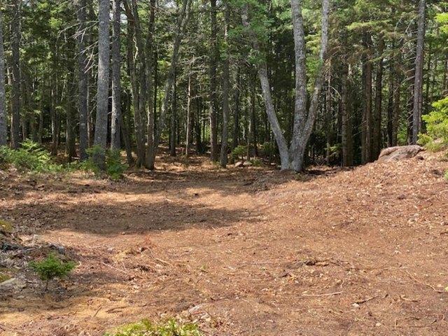 Bunchberry Ln Lot 6, Bristol, ME 04554