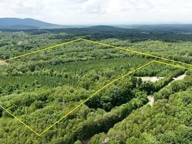 Bunker Hill Rd, Walnut Cove, NC 27052