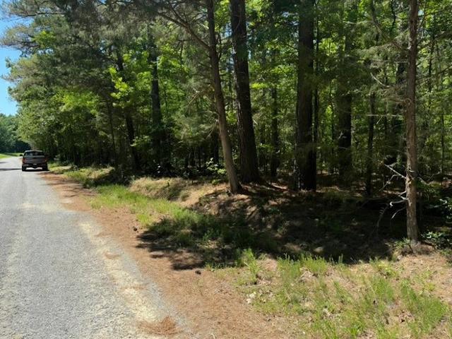 Buck Branch Rd, Mansfield, TN 38236