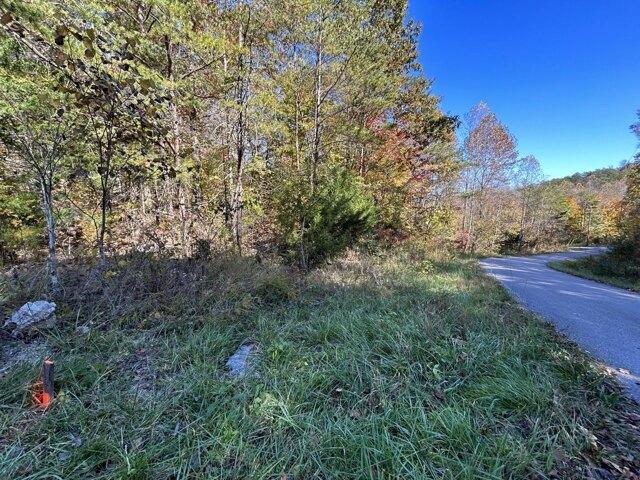 Buck Creek Cir Lot,somerset, Plot For Sale