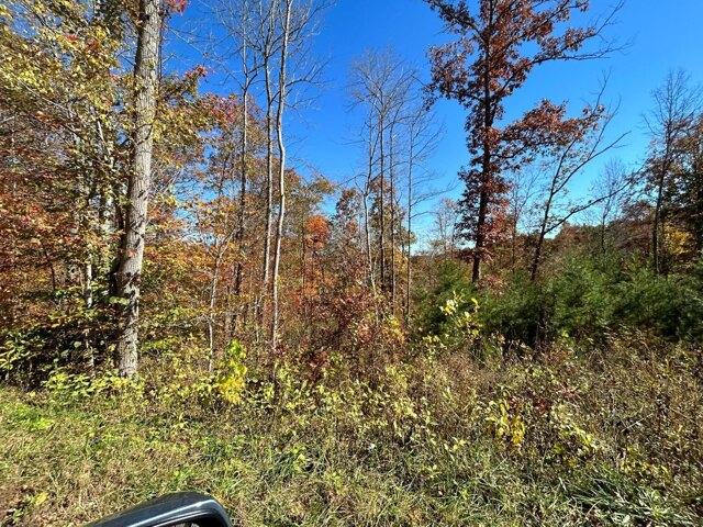Buck Creek Cir Lot,somerset, Plot For Sale