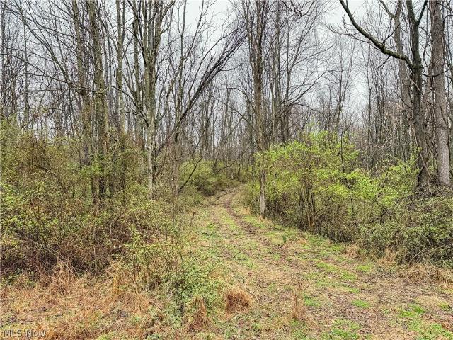 Buck Hill Road