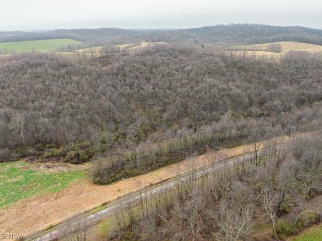 Buck Hill Rd, Frazeysburg, OH 43822