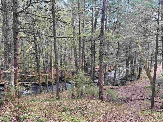 Buck Hill Rd, Westfield, Plot For Sale