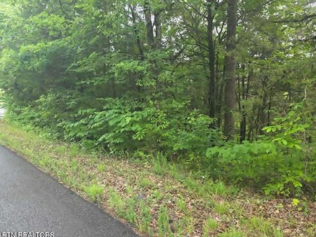 Buck Horn Rd, Dandridge, TN 37725