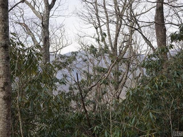 Buck Knob Rd, Scaly Mountain, NC 28775
