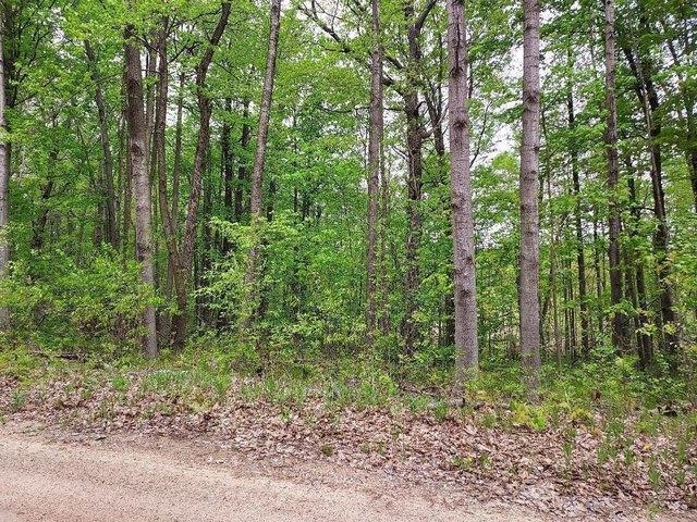 Buck Ln Unit 66, Harrison, MI 48625