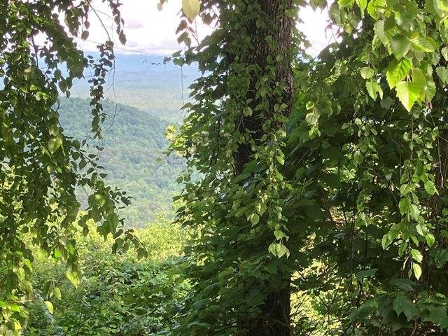 Buck Ridge Dr Lot 51, Murphy, NC 28906