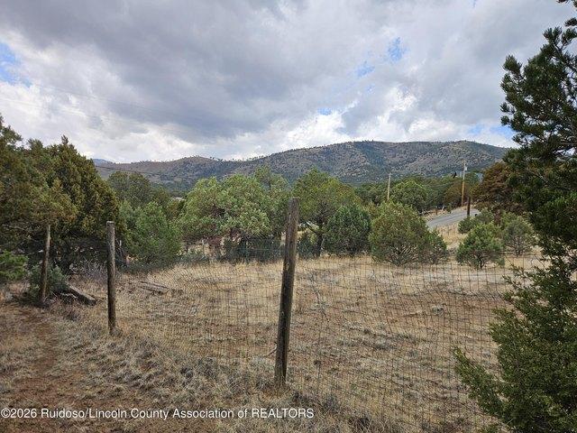 Buckboard Lot 12 and Loma Grande, Nogal, NM 88341