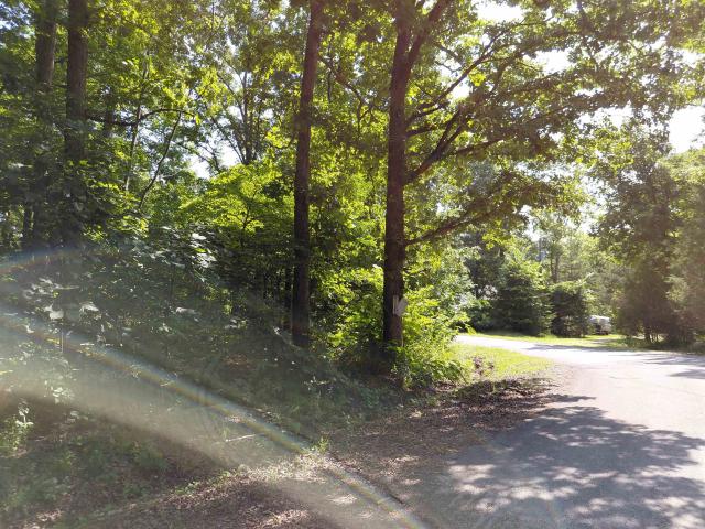 Buckboard Road