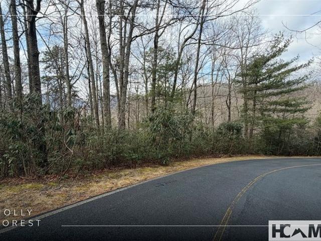 Buckberry Dr N Lot 40, Sapphire, NC 28774