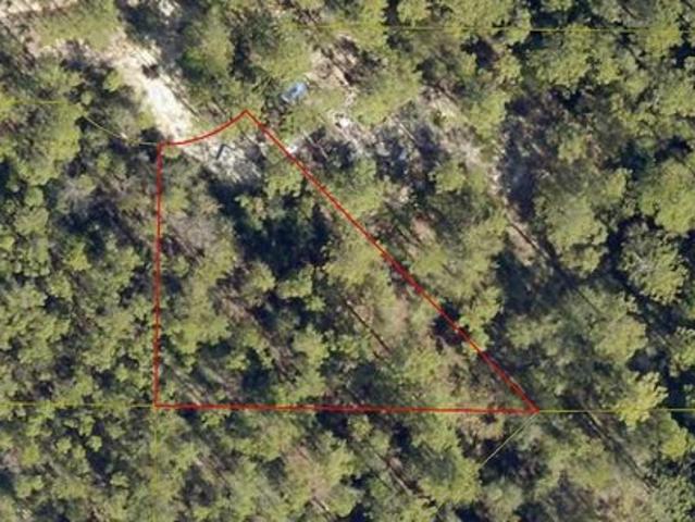 Buckeye E Lot 2, Defuniak Springs, FL 32433