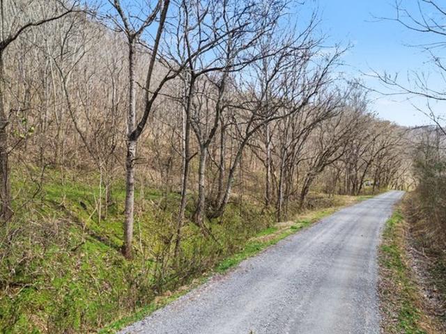 Buckeye Hollow Rd, Smithville, TN 37166