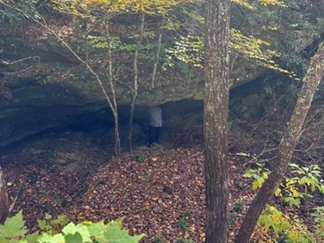 Buckeye Ln Lot 91, Wilder, TN 38589